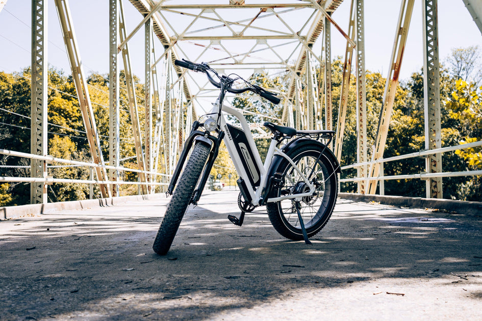 4 Types of Cargo Bicycles You Should Know