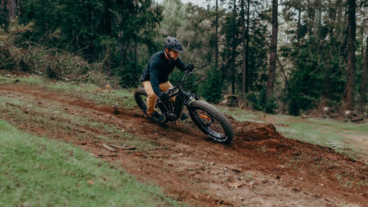 Electric Bikes | Long-Range Fat Tire, Cargo & City eBikes